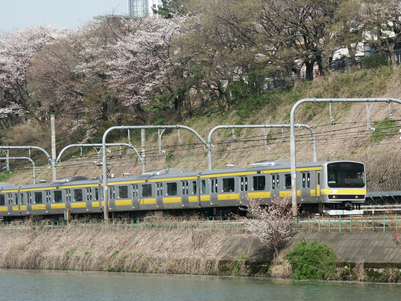 JR東日本E231系電車とE231系0番台・800番台・900番台の特徴